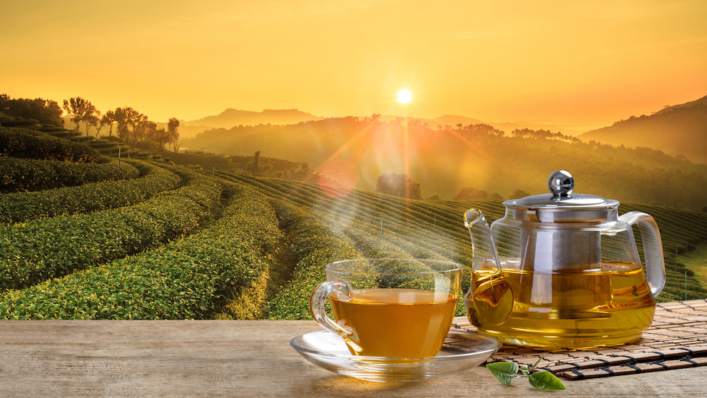 Logistics and Shipping